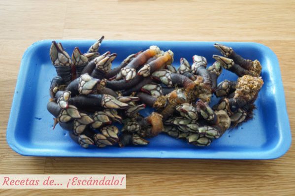 Aprende cómo cocer percebes para que te queden perfectos - Recetas de ...